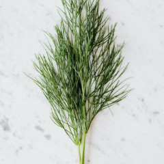 Madzoon - Authentic Greek Yogurt Made Fresh Daily