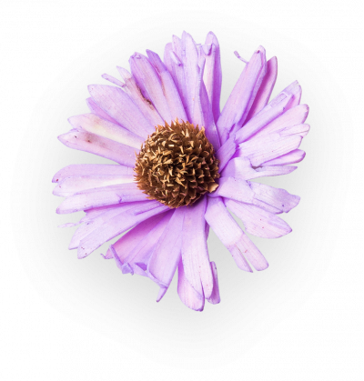 Madzoon - Authentic Greek Yogurt Made Fresh Daily